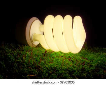 Stock Photo and Image Portfolio by Mikhail Melnikov | Shutterstock