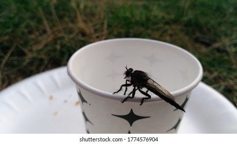 Stock Photo and Image Portfolio by photograph_0080 | Shutterstock
