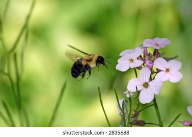 Stock Photo and Image Portfolio by Patrick McCall | Shutterstock