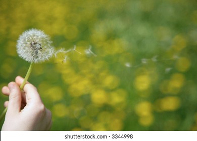 Flying Dandelion Down Stock Photo 3344998 | Shutterstock