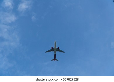 Flying High Stock Photo 559829329 | Shutterstock
