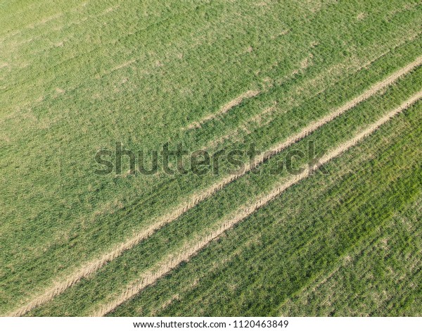 Flying Over Fields Stock Photo 1120463849 | Shutterstock