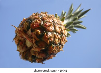 Flying Pineapple Stock Photo 419941 | Shutterstock