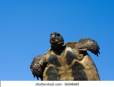 Yokosuka Japan Oct 6 2018 Godzilla写真素材1203312754 | Shutterstock