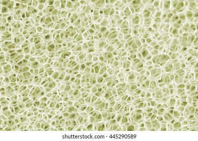18,443 Macro microscope texture Images, Stock Photos & Vectors ...