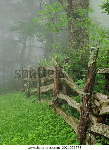 Focus Stacked Image Split Rail Fence Stock Photo 2021071775 | Shutterstock