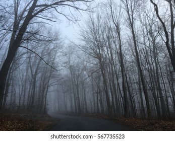 Mist Veiled Road Fading Into Fog Stock Photo 1725001108 | Shutterstock