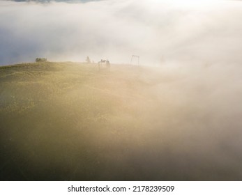 41,702 Sun through fog Images, Stock Photos & Vectors | Shutterstock