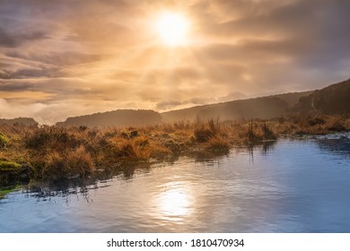 924 Swamp ireland Images, Stock Photos & Vectors | Shutterstock