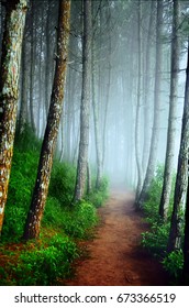 45 Jalan setapak Images, Stock Photos & Vectors | Shutterstock