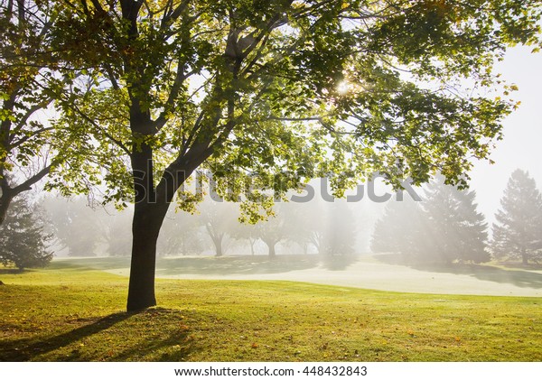 Fog Sun Rays Over Golf Course Stock Photo 448432843 | Shutterstock