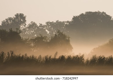 Fog Sunrise Creates Dramatic Effect Stock Photo 718242997 | Shutterstock