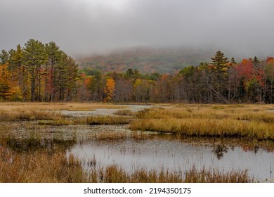 2,396 Swamps england Images, Stock Photos & Vectors | Shutterstock