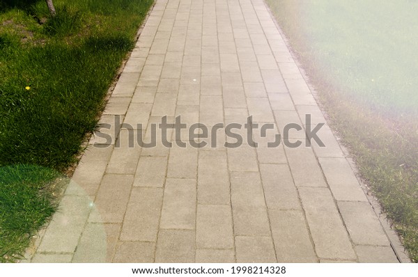 Footpath Grass Texture Background Paved Path Stock Photo 1998214328 ...