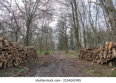 39,592 Log scene Images, Stock Photos & Vectors | Shutterstock