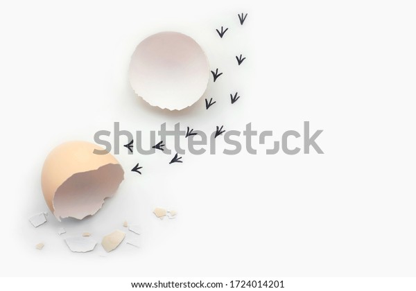 Footprints Egg Shell First Steps Chick Stock Photo (Edit Now) 1724014201