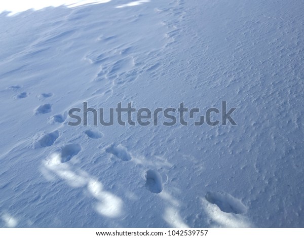 Footsteps Deep Snowdifferent Angles Stock Photo 1042539757 | Shutterstock