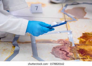 Forensic Technicians Taking Dna Sample Blood Stock Photo (Edit Now ...
