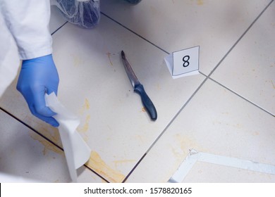 Forensic Technicians Taking Dna Sample Blood Stock Photo 1578820165 ...