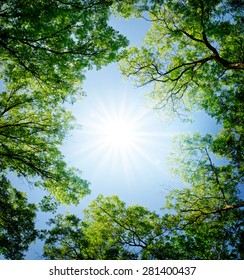97,828 Sky bottom view Images, Stock Photos & Vectors | Shutterstock