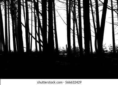 Forest Texture Background On Emblem Overlays: เวกเตอร์สต็อก (ปลอดค่า ...