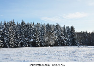 18,687 Winter forest edge Images, Stock Photos & Vectors | Shutterstock