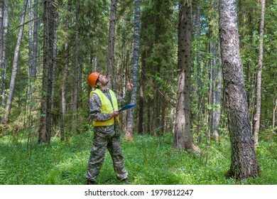 1,157 Forest Service Computer Images, Stock Photos & Vectors | Shutterstock