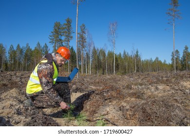 1,157 Forest Service Computer Images, Stock Photos & Vectors | Shutterstock
