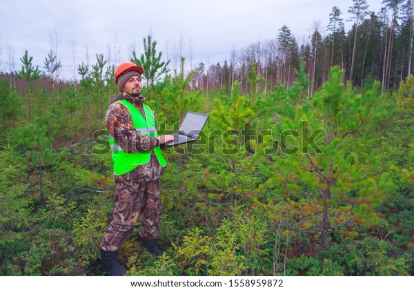 Forest engineer works in the forest with a computer. Ecologist oversees ...