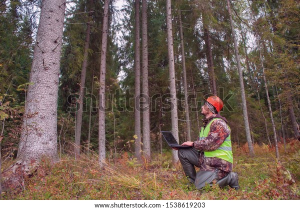 Forest Engineer Works Forest Computer Forestry Stock Photo (Edit Now ...