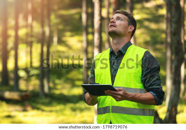 5,323 Job Forester Images, Stock Photos & Vectors | Shutterstock