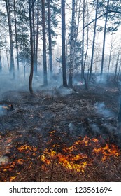 37,165 Burned ground Images, Stock Photos & Vectors | Shutterstock