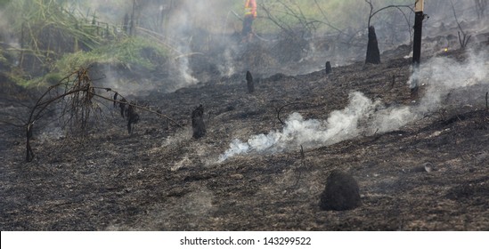 18,287 Destroyed land Images, Stock Photos & Vectors | Shutterstock