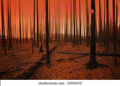 1,673 Forest Fire Close House Images, Stock Photos & Vectors | Shutterstock