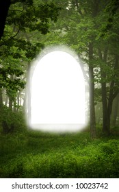 Forest Frame Text Stock Photo 10023742 | Shutterstock