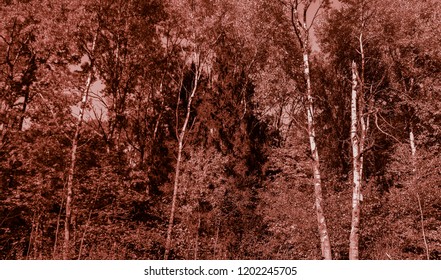 148 Midday horror Images, Stock Photos & Vectors | Shutterstock