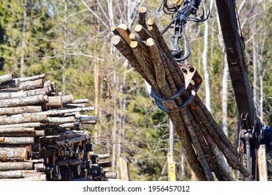 300 Lumbering operations Images, Stock Photos & Vectors | Shutterstock