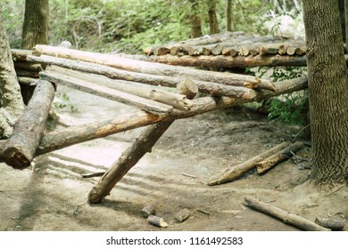 Stock Photo and Image Portfolio by wade whitington | Shutterstock