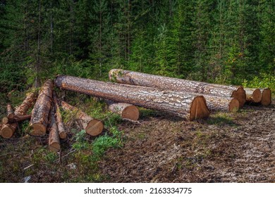 2,564 Falling logs Images, Stock Photos & Vectors | Shutterstock