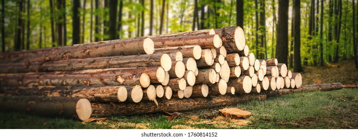 40,855 Horizontal logs Images, Stock Photos & Vectors | Shutterstock
