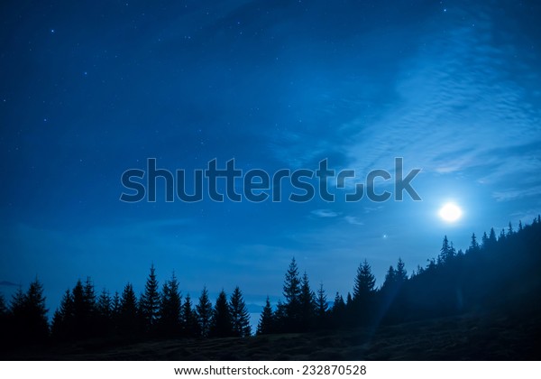 659 Starry Night Pine Trees Dusk Images, Stock Photos & Vectors ...