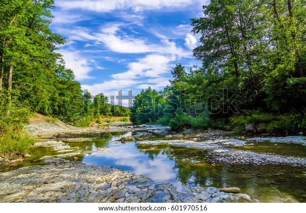 Forest River Landscape Stock Photo (Edit Now) 601970516
