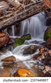 15,059 Forest Log Fallen Images, Stock Photos & Vectors | Shutterstock