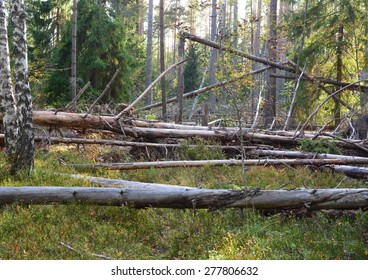 3,687 Break Down Trees Images, Stock Photos & Vectors | Shutterstock
