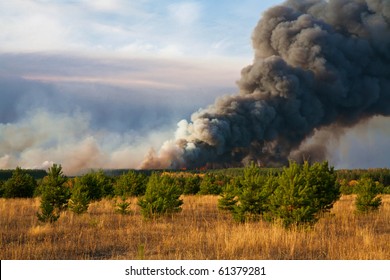 1,235 Western forest fires 이미지, 스톡 사진 및 벡터 | Shutterstock