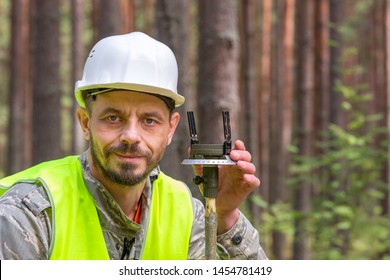 985 Forest inventory Images, Stock Photos & Vectors | Shutterstock