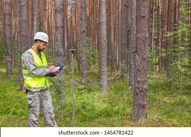 Forestry Engineer Does Work Forest Inventory Stock Photo (Edit Now ...