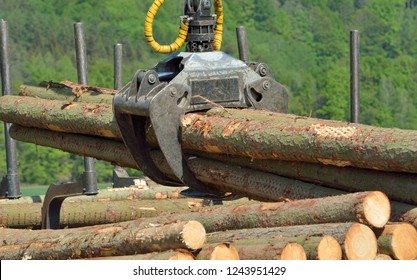 Forestry Tree Trunks Loading Stock Photo 1243951429 | Shutterstock