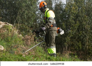 Forestry Worker Forest Stock Photo 1686209938 | Shutterstock