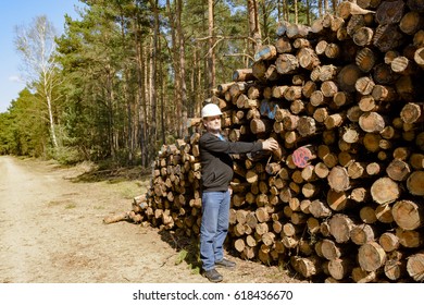 Forestry Workers Forest Stock Photo 618436670 | Shutterstock